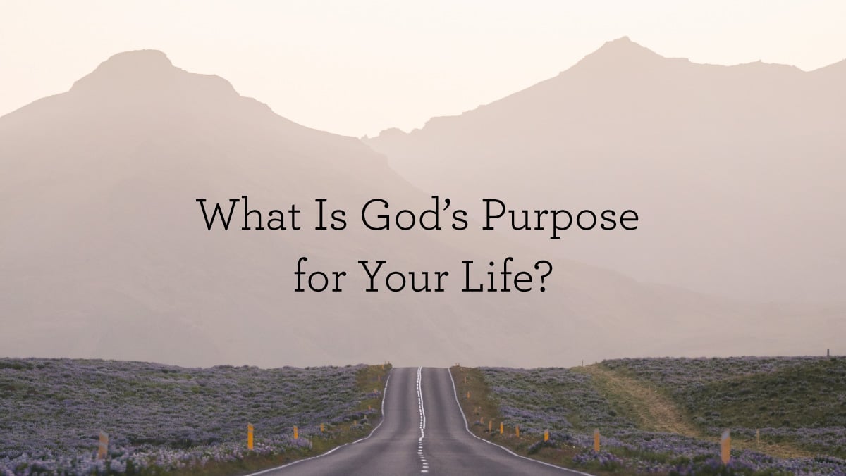What Is Gods Purpose For Your Life